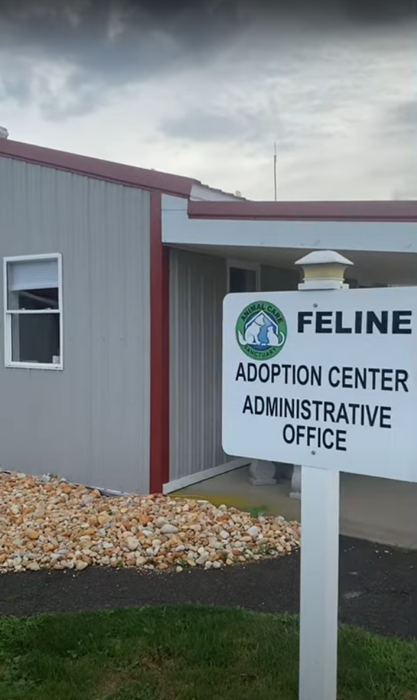 Humane Education - Animal Care Sanctuary